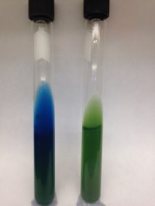 Metabolic Activities B: Physiological Characteristics Results ...