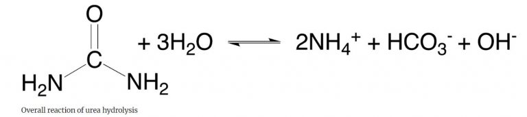 Metabolic Activities B: Physiological Characteristics Results ...